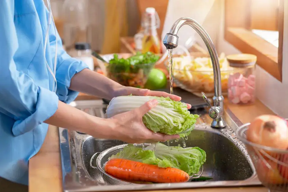 The Importance of Good Food Hygiene in Care Homes | Lottie